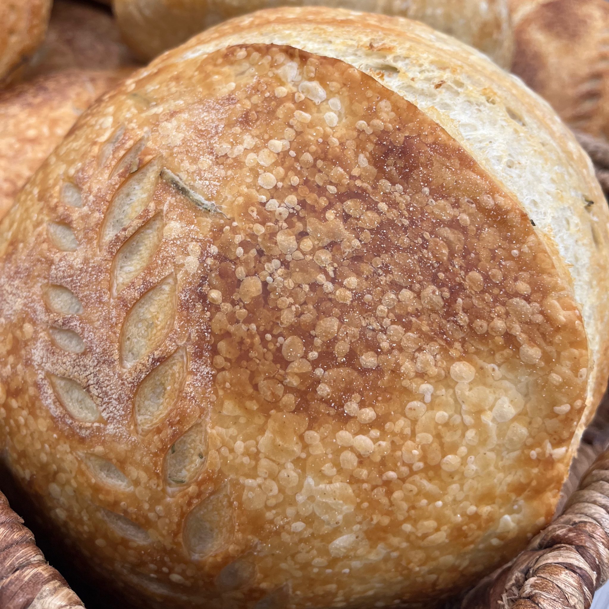 Order | Blue Corn Cafe & Bakery